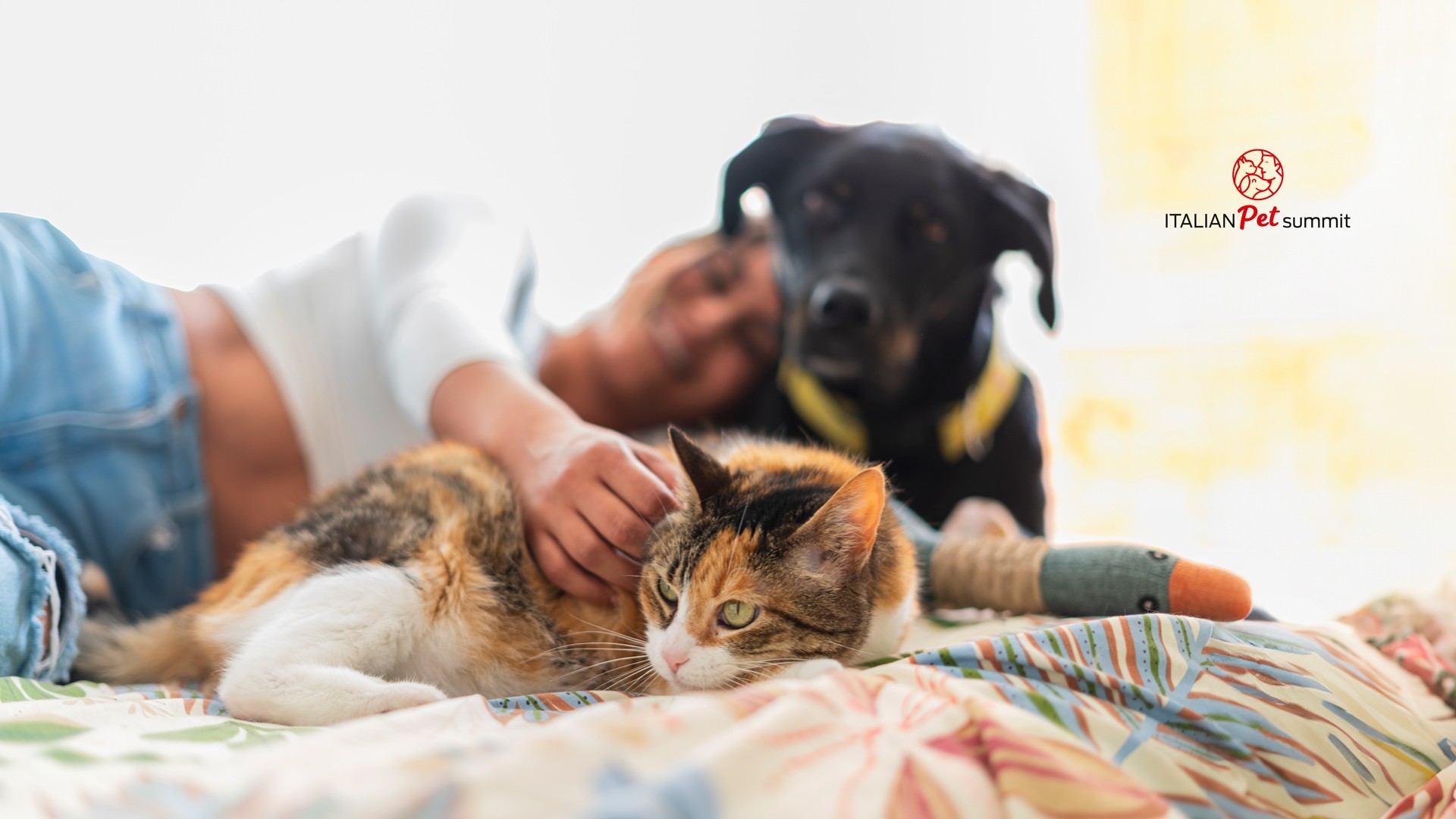Italian Pet Summit 2024 | 27 febbraio, Il Sole 24 Ore Eventi